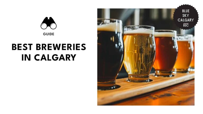 10 Calgary Breweries That Made Me a Craft Beer Convert [2025]