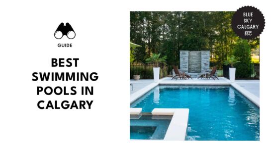 Swim your heart out at the 9 best pools in Calgary [2025]