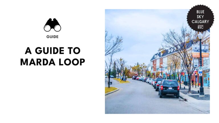 We shopped ‘til we dropped in Marda Loop—no regrets! [2025]