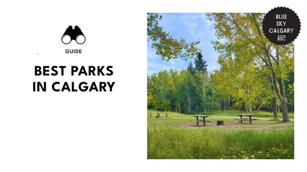 Explore the urban wilderness at these 10 parks in Calgary. [2025]