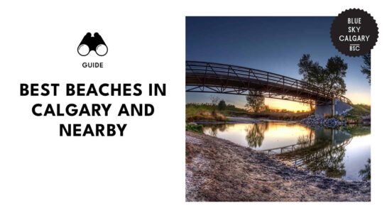 Chase the summer vibes at these 9 beaches near Calgary. [2026]