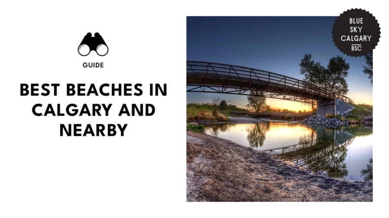 Chase the summer vibes at these 9 beaches near Calgary. [2025]