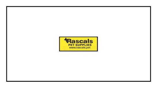 5 Beloved Calgary Pet Stores That Locals Say Are Pawsome [2025 ]