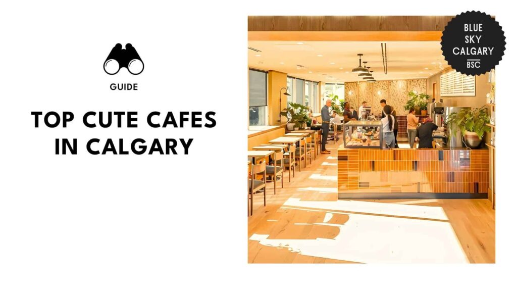 The Top 8 Cute Cafes in Calgary That You Have to Visit [2026]